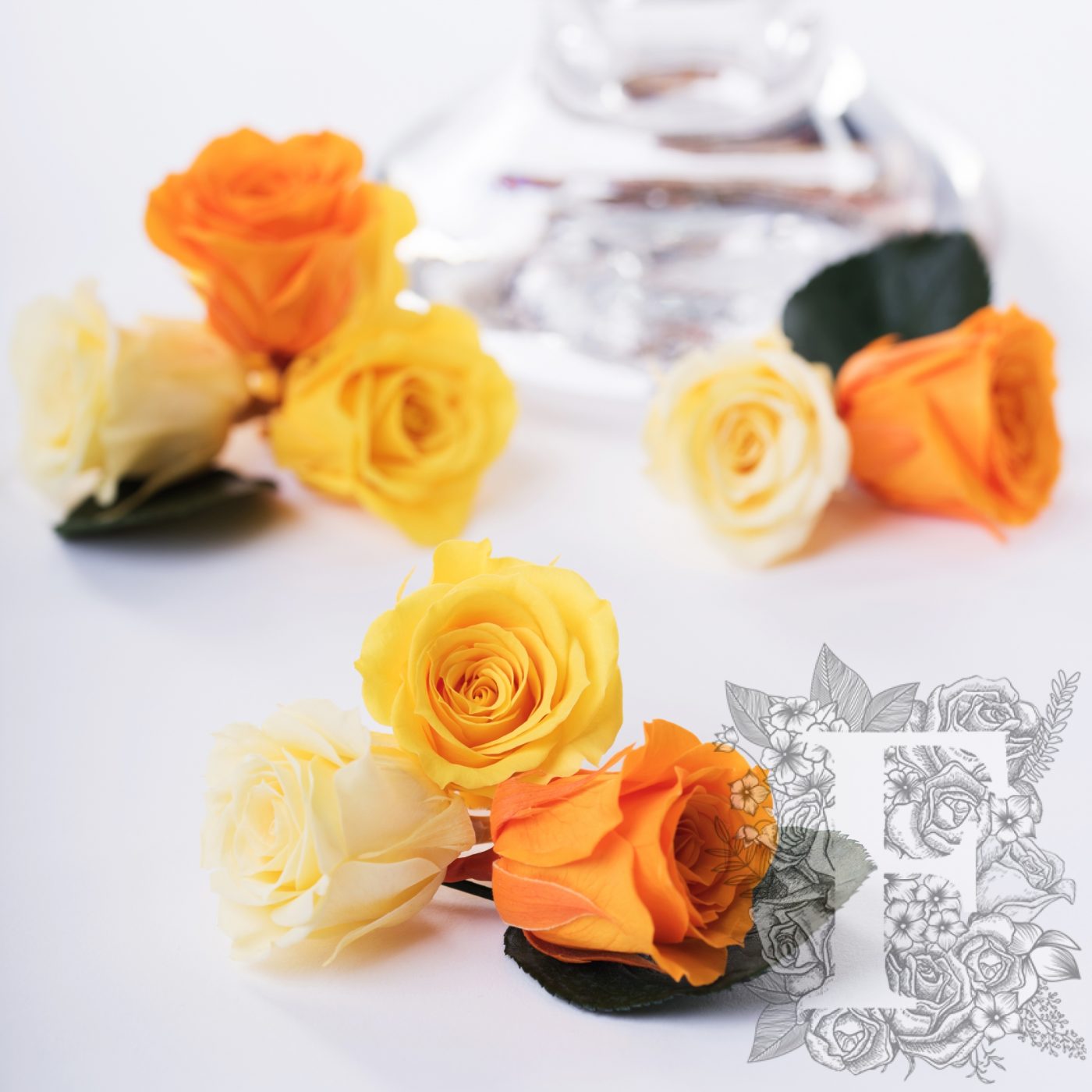 Rose Kanon - Gradation - 9 Heads | Fora Nature