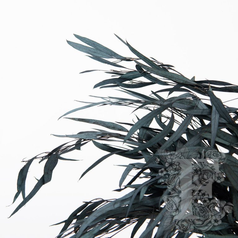 Preserved Foliage Wholesale | Foliage For Florists | Fora Nature