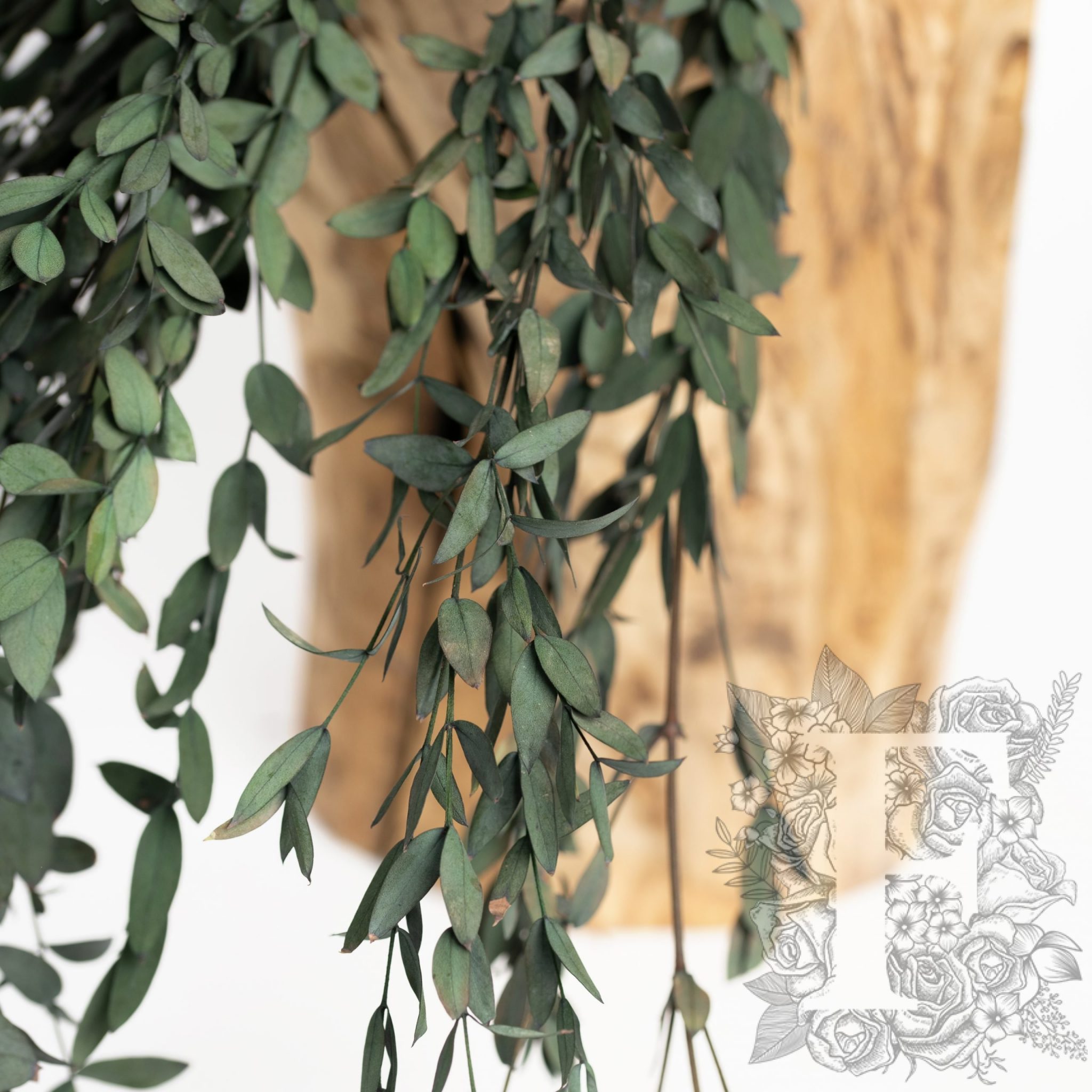 Preserved Foliage Wholesale | Foliage For Florists | Fora Nature