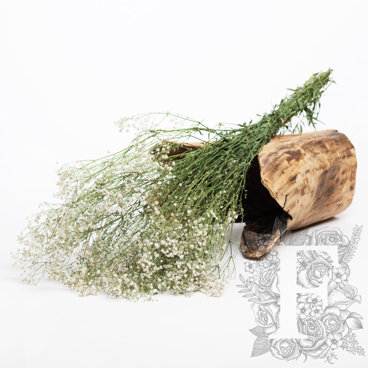 Gypsophila - Bunch | Fora Nature