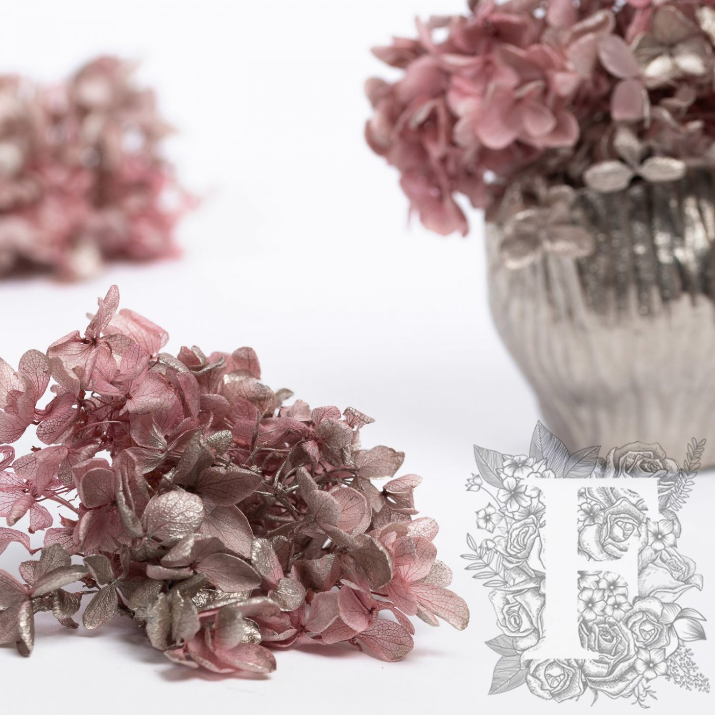 Preserved Flowers Wholesale | Fora Nature