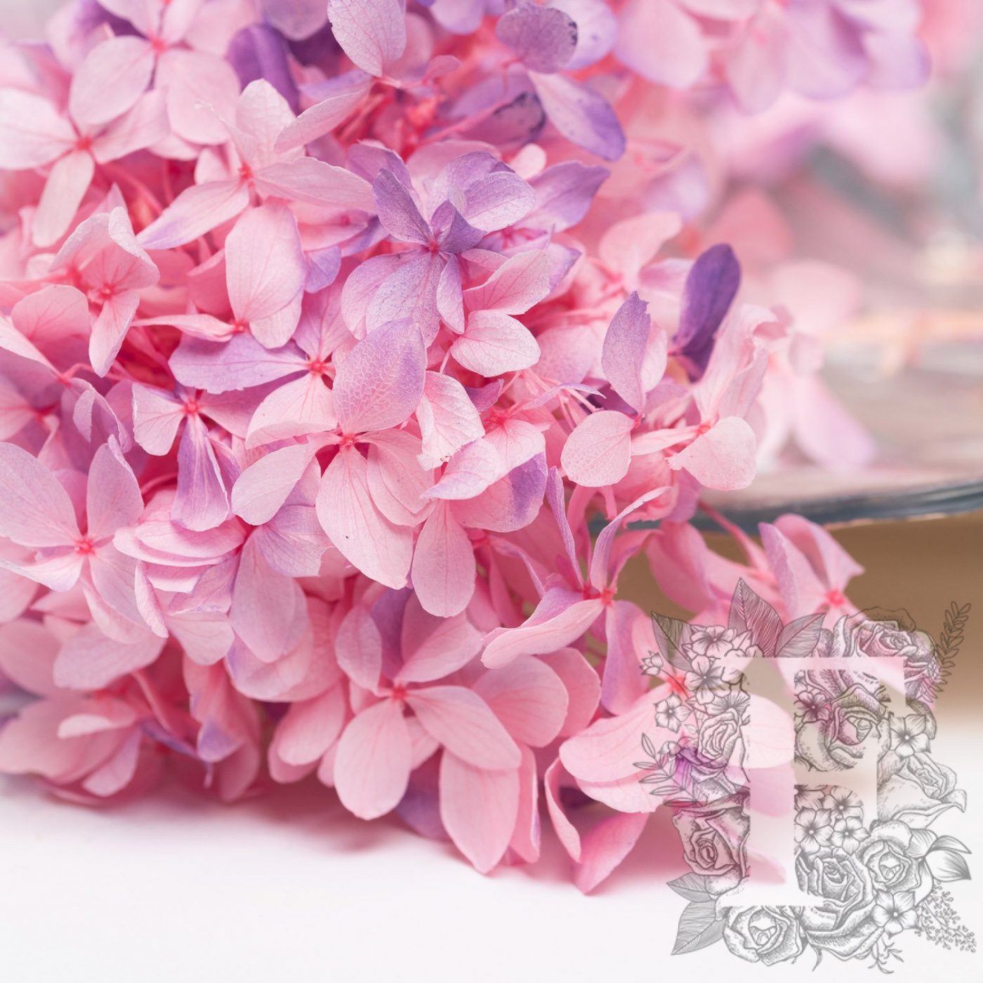 Preserved Hydrangea Wholesale | Fora Nature
