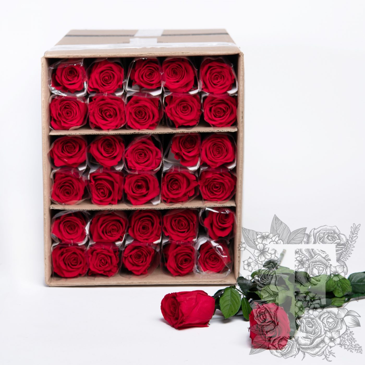 50cm Rose With Stem - 30 Stems Bulk | Fora Nature
