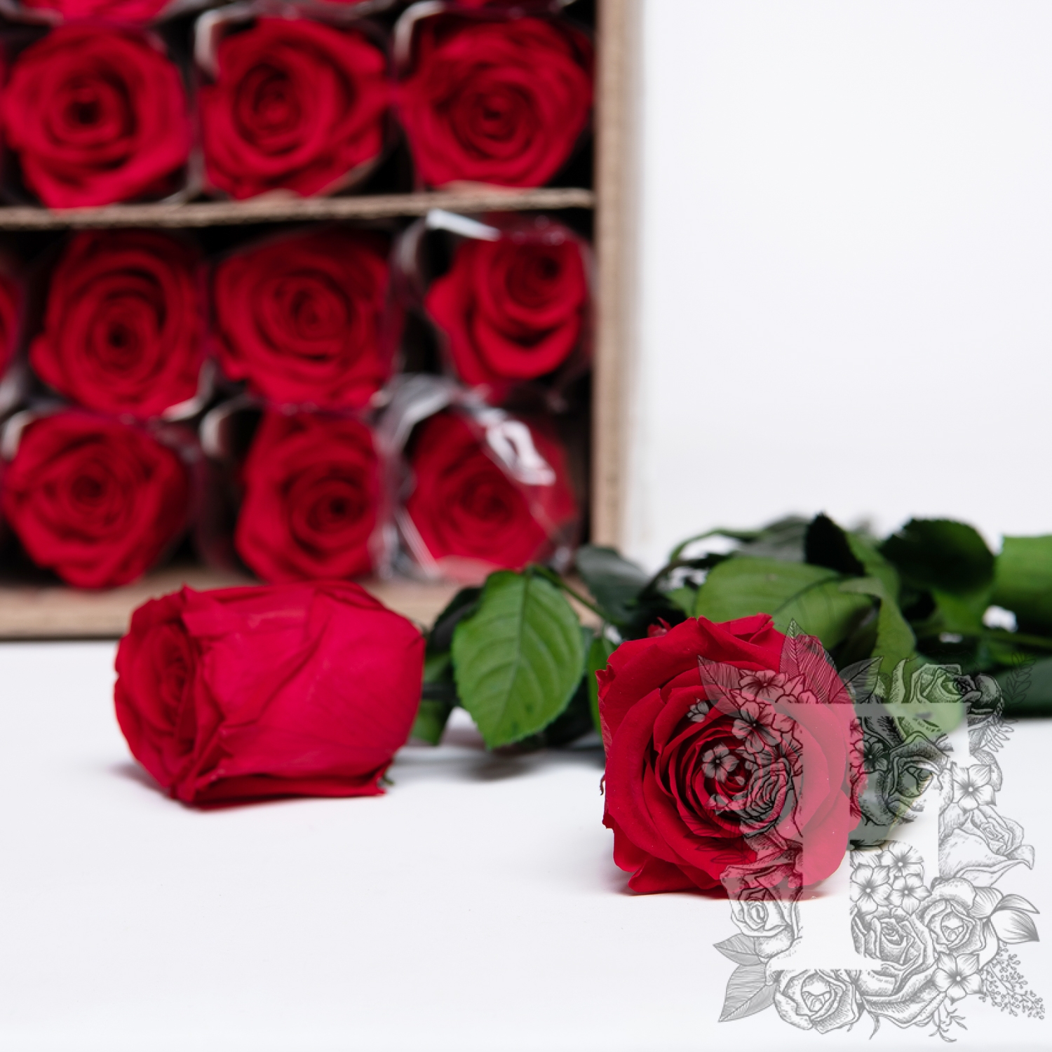 50cm Rose With Stem - 30 Stems Bulk | Fora Nature