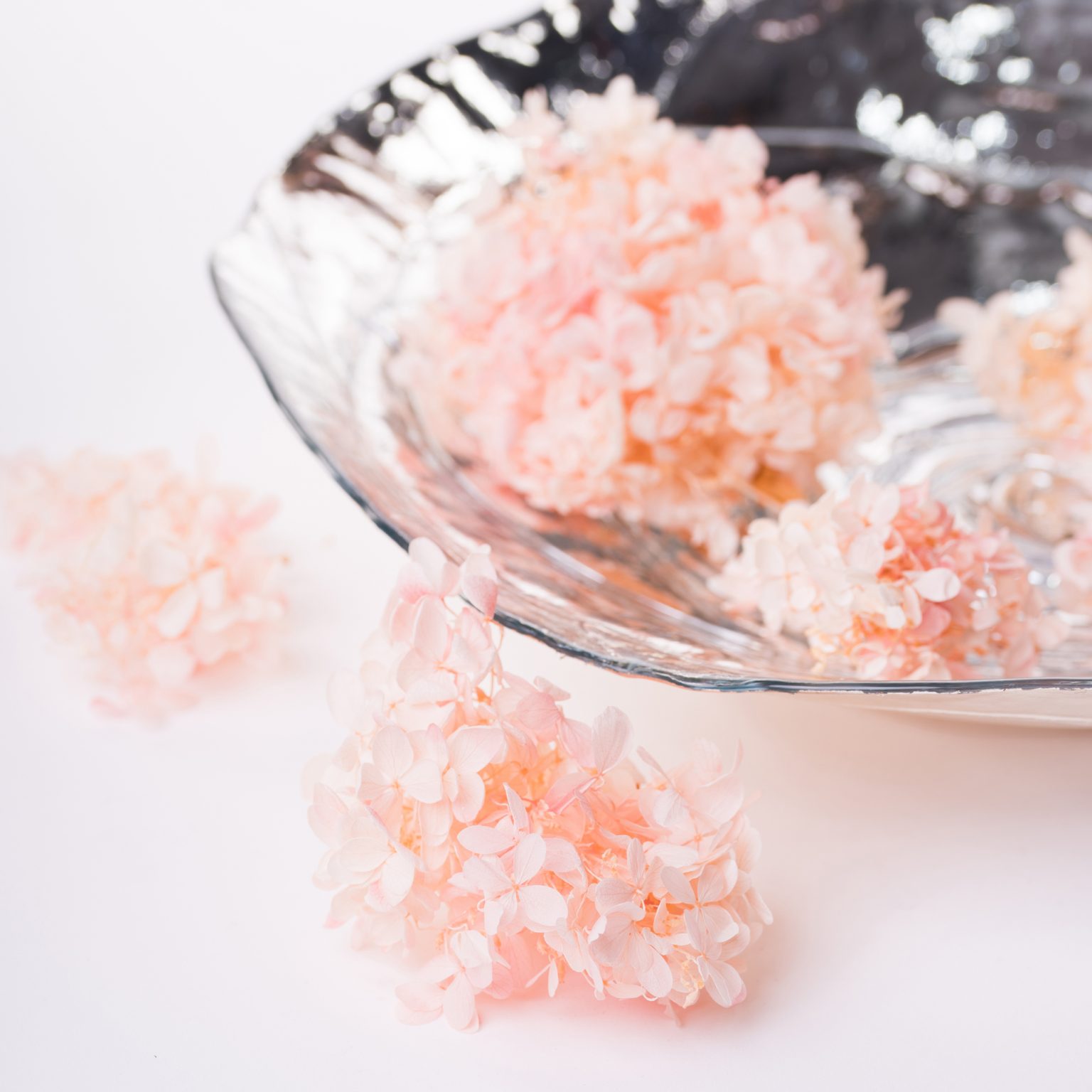 Preserved Hydrangea Wholesale | Fora Nature