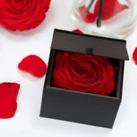 Gift Box - XXL | Fora Nature