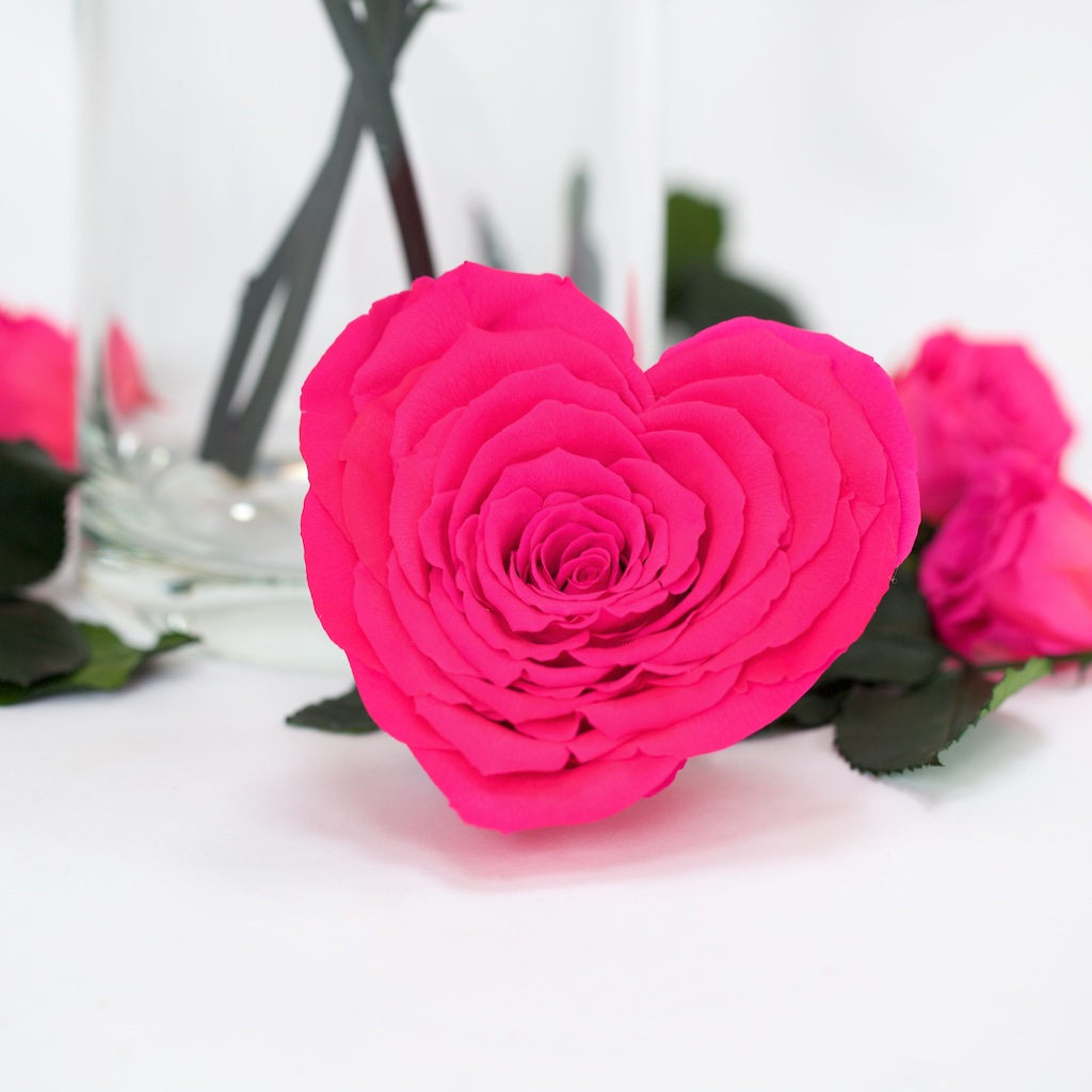 Heart Rose - XXL -1 Head | Fora Nature