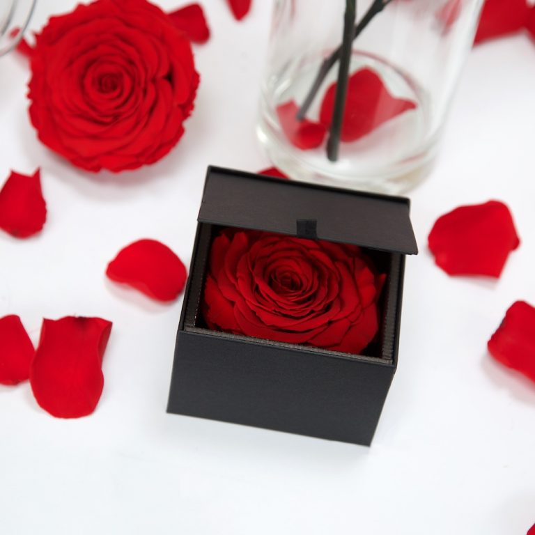 Gift Box - XXL | Fora Nature