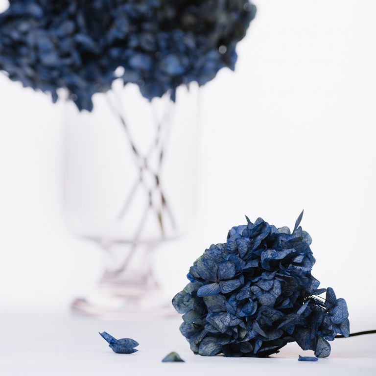 Lotus - XL - XXL - King | Fora Nature