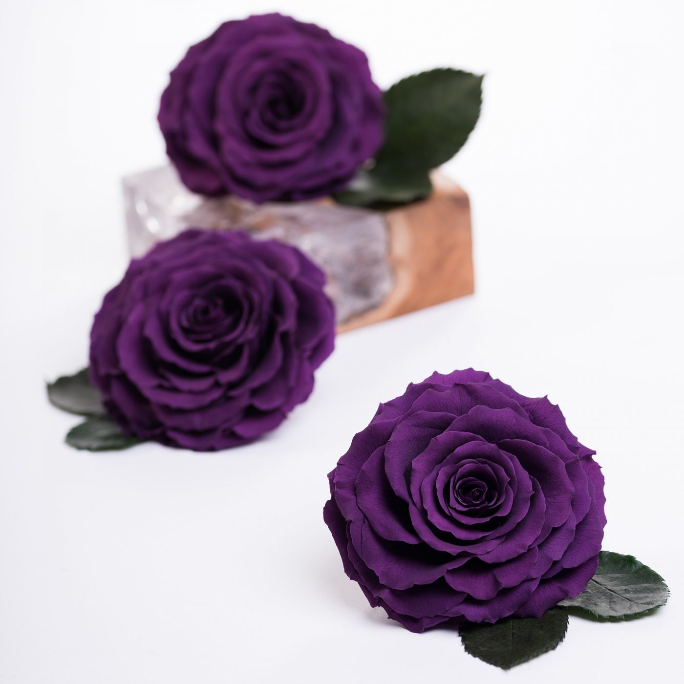 Verdissimo - King - 1 Head | Fora Nature