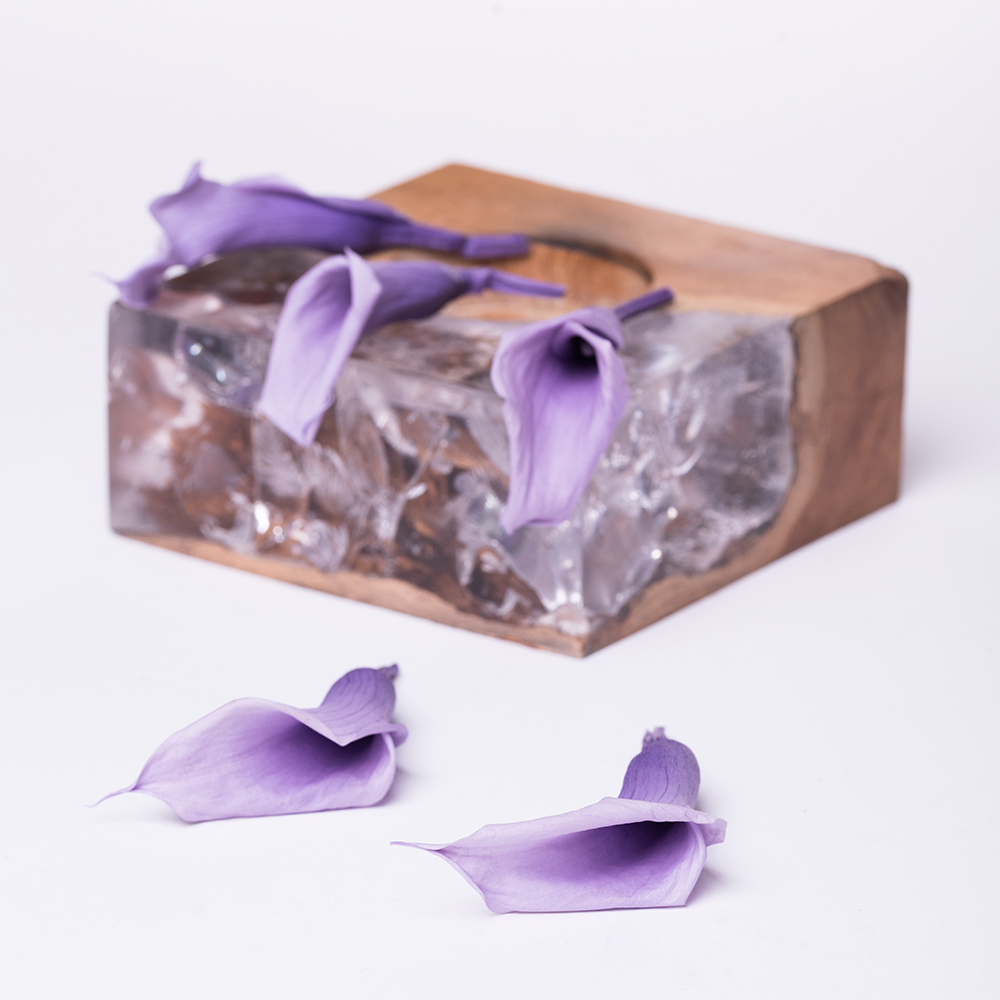 Mini Callas - 5 Heads | Fora Nature