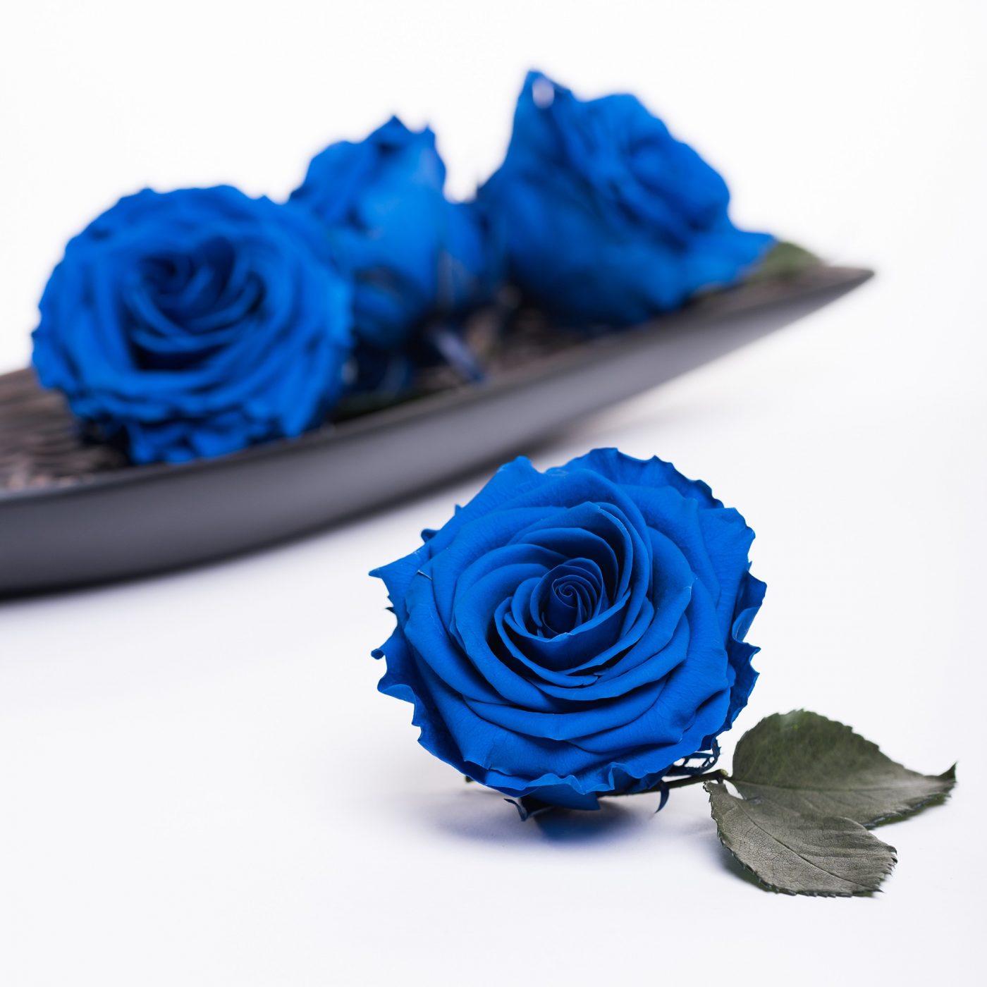 Verdissimo - Premium - 4 Heads | Fora Nature