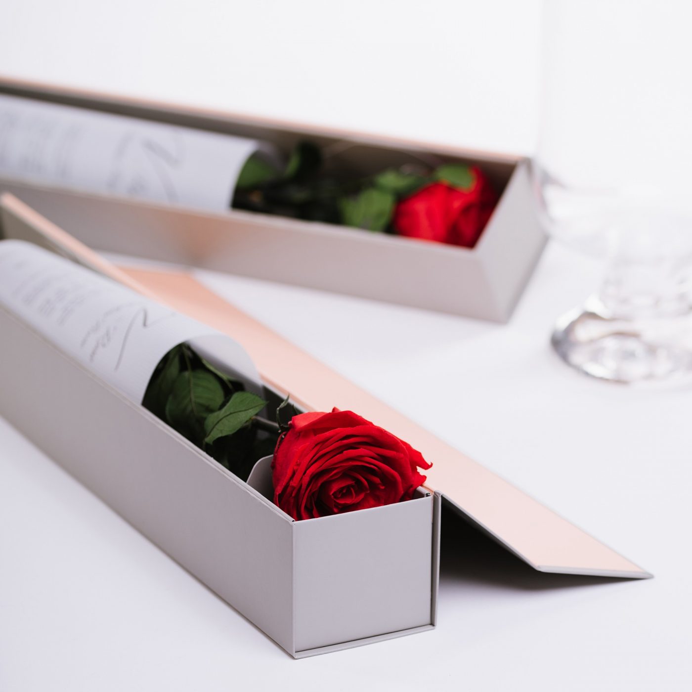 V-Rose Exclusive Box | Fora Nature