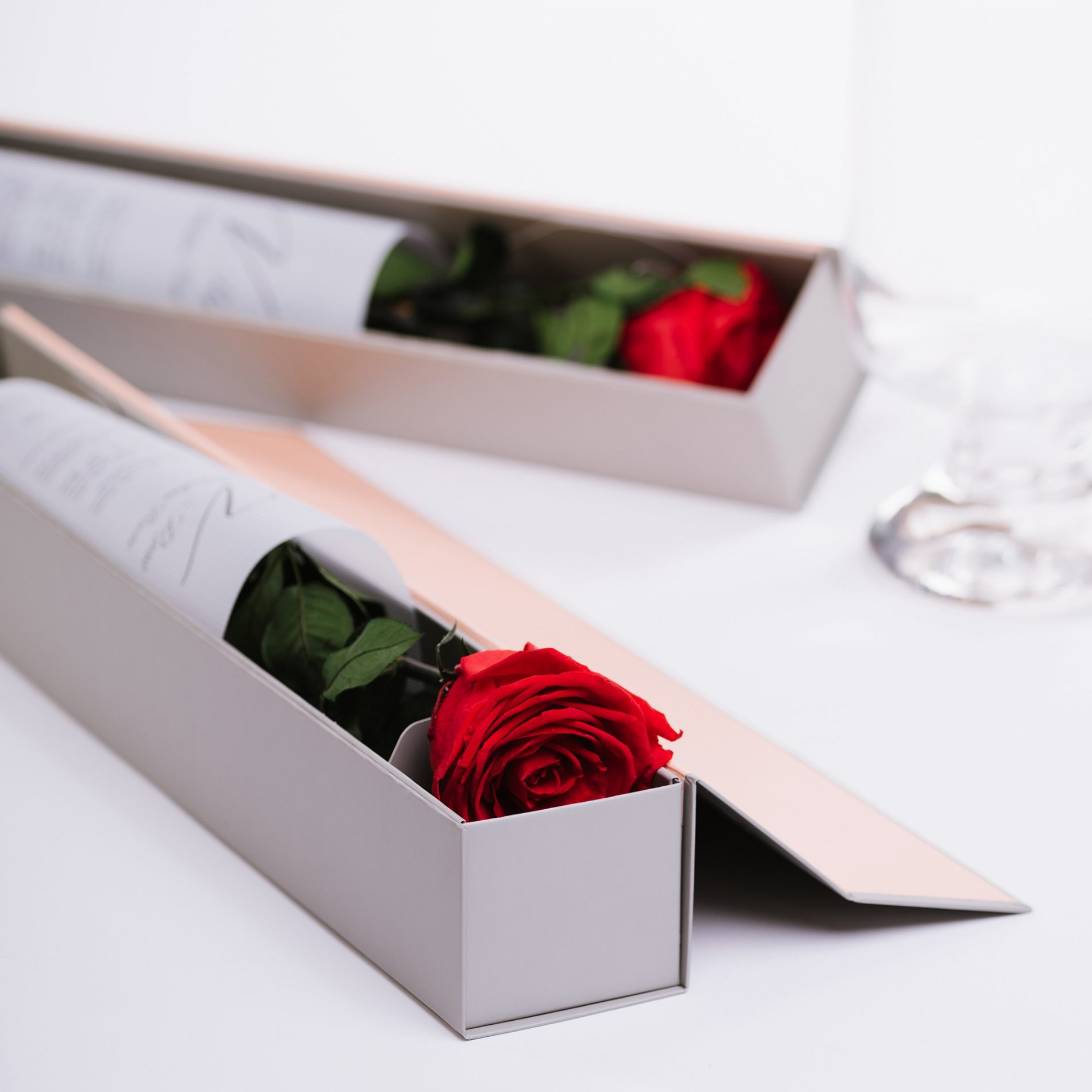 V-Rose Exclusive Box | Fora Nature