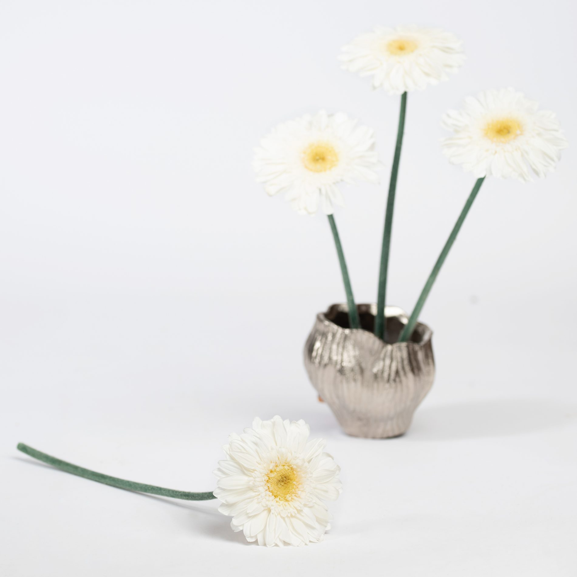 Gerbera With Stem - 4 Heads | Fora Nature