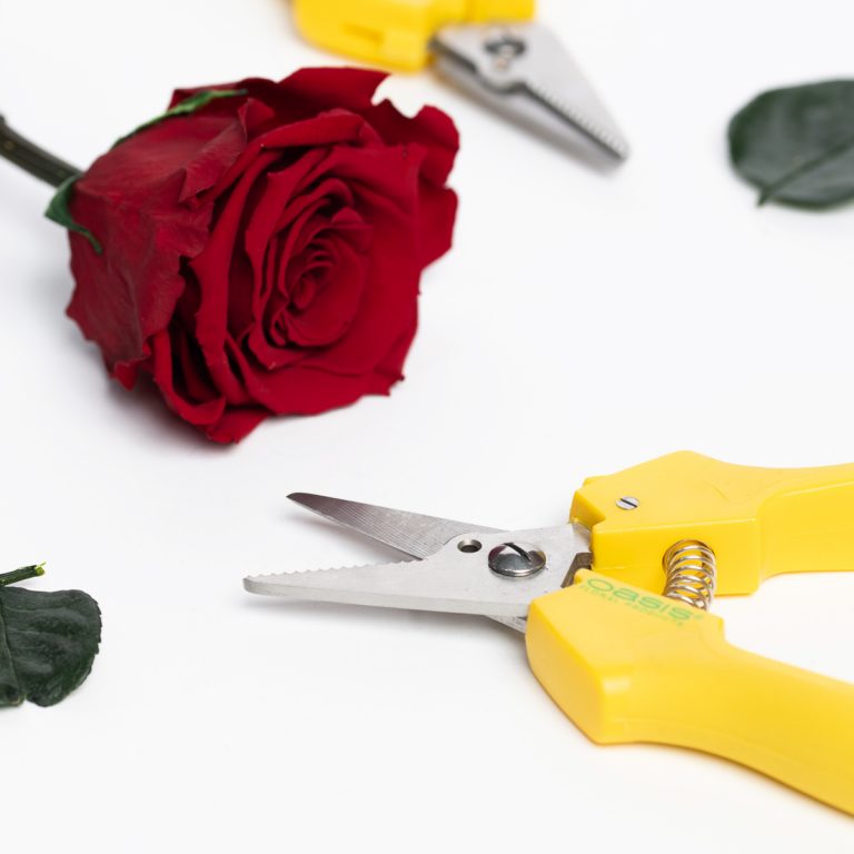 Floral Shears - 1 Pack | Fora Nature