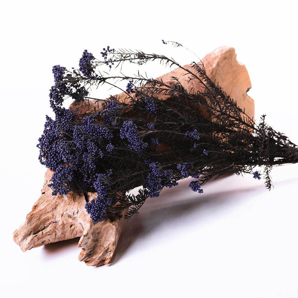 Rice Flower - Bunch | Fora Nature