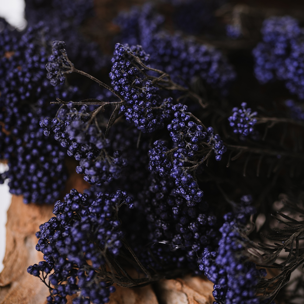 Rice Flower - Bunch | Fora Nature