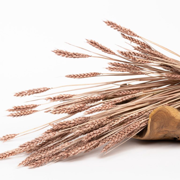 Trigo Flor - bunch | Fora Nature