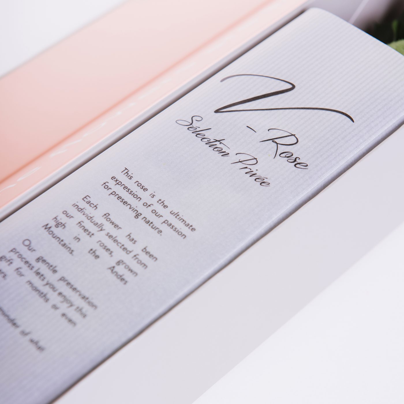 V-Rose Exclusive Box | Fora Nature