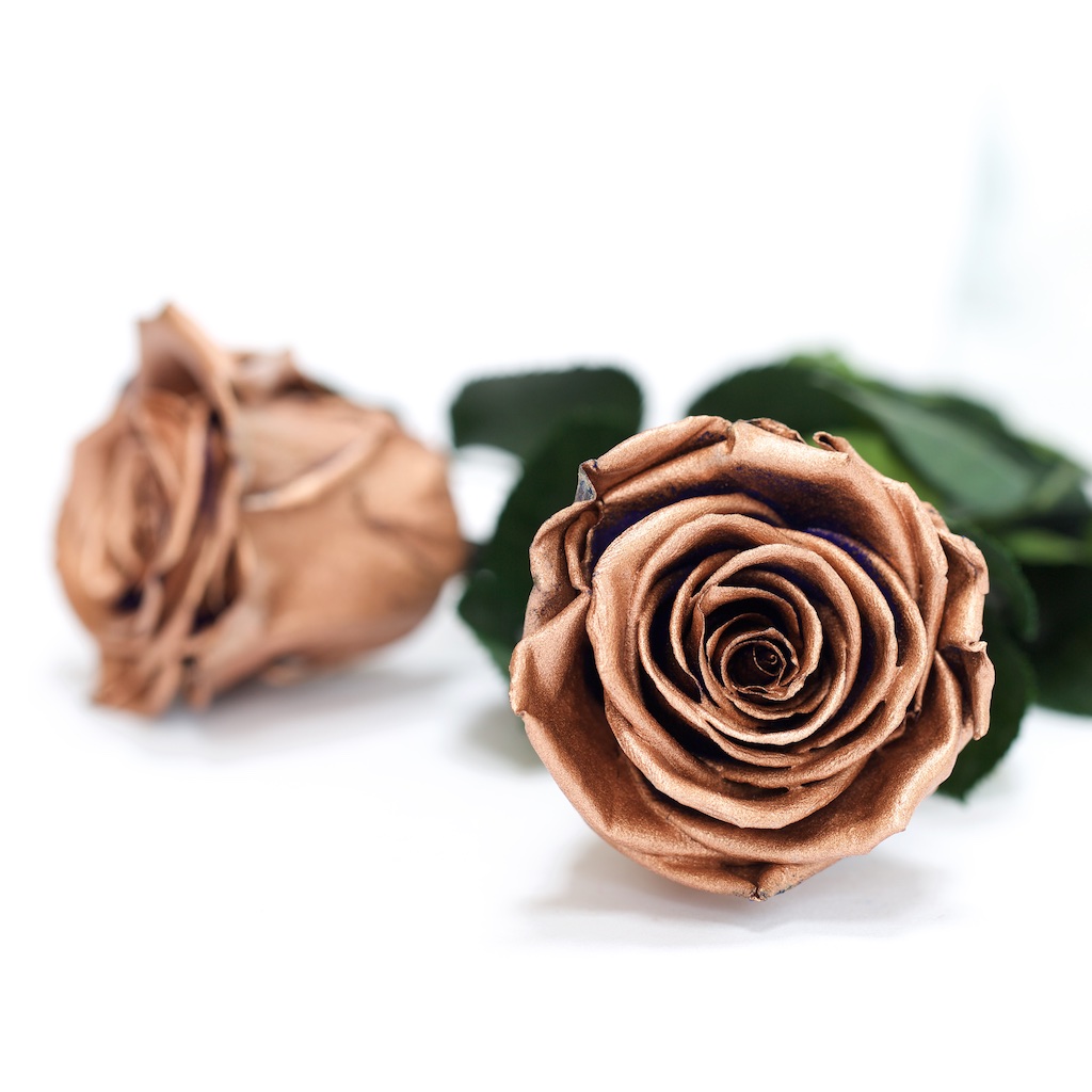 RoseAmor - L Roses - 6 Heads | Fora Nature