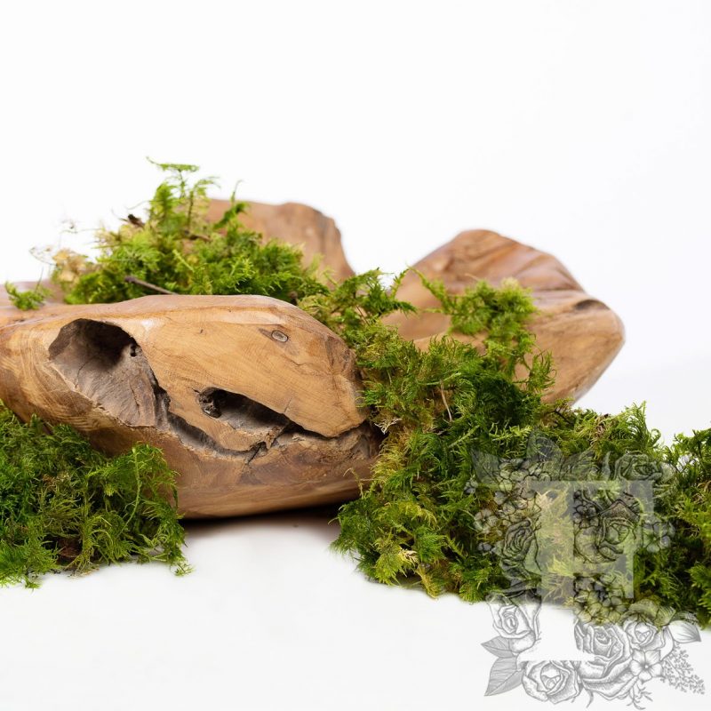 Ball Pole Moss - Window Box - 180g | Fora Nature